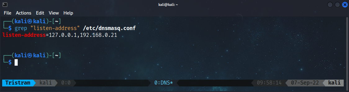 Staged Payloads from Kali Linux | PT Phone Home - DNS