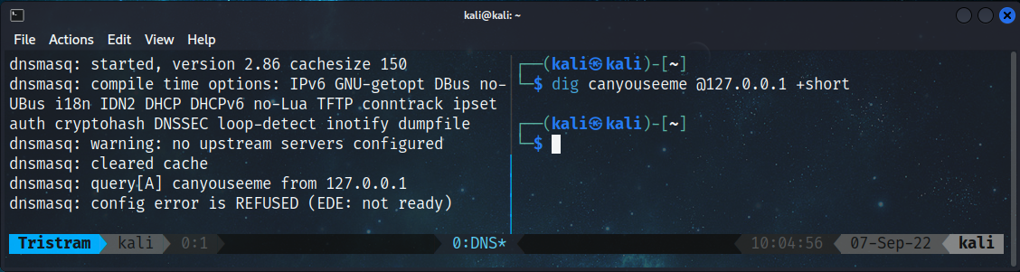 Staged Payloads from Kali Linux | PT Phone Home - DNS