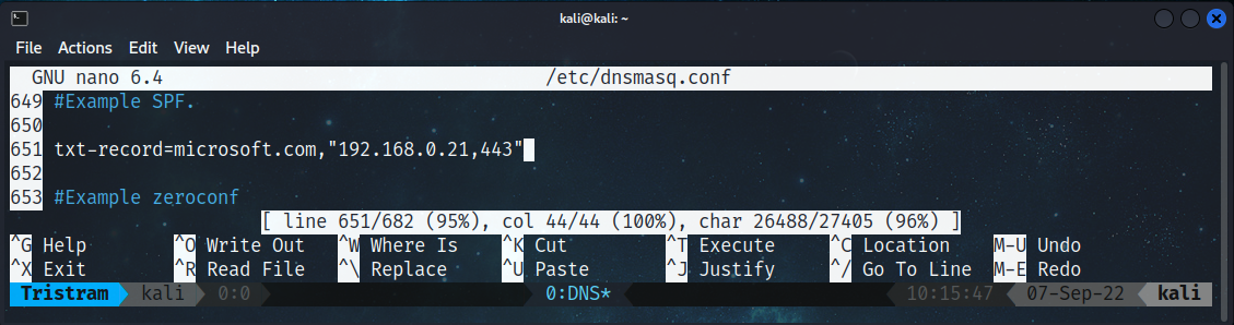 Staged Payloads from Kali Linux | PT Phone Home - DNS