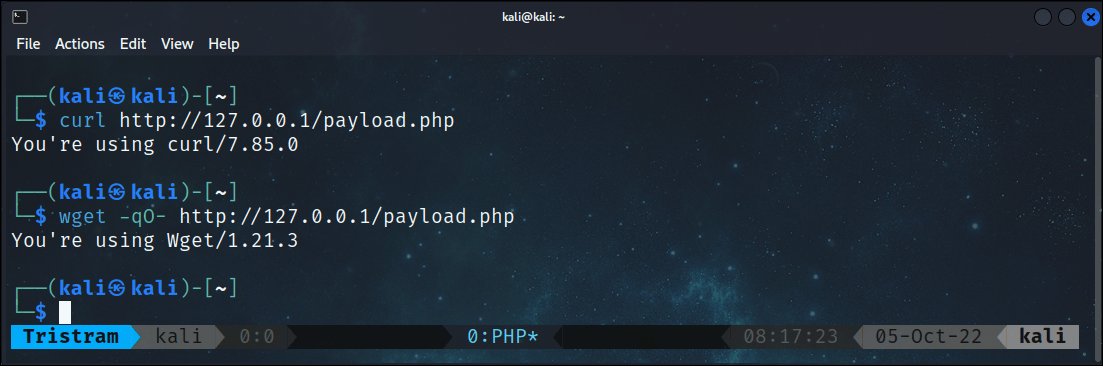 Staged Payloads from Kali Linux | OffSec